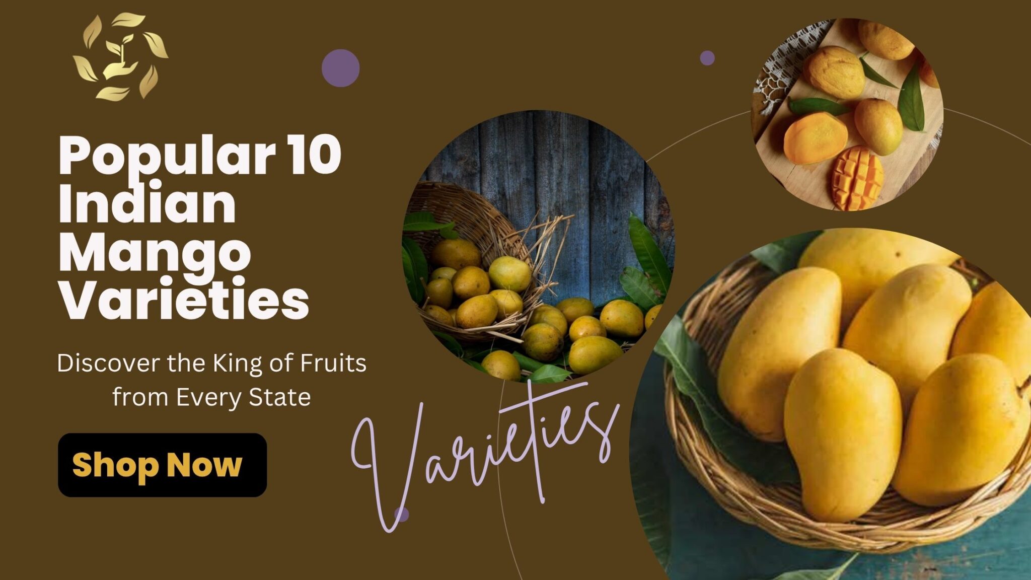 Different Types of Mangoes in India | Top 10 Varieties