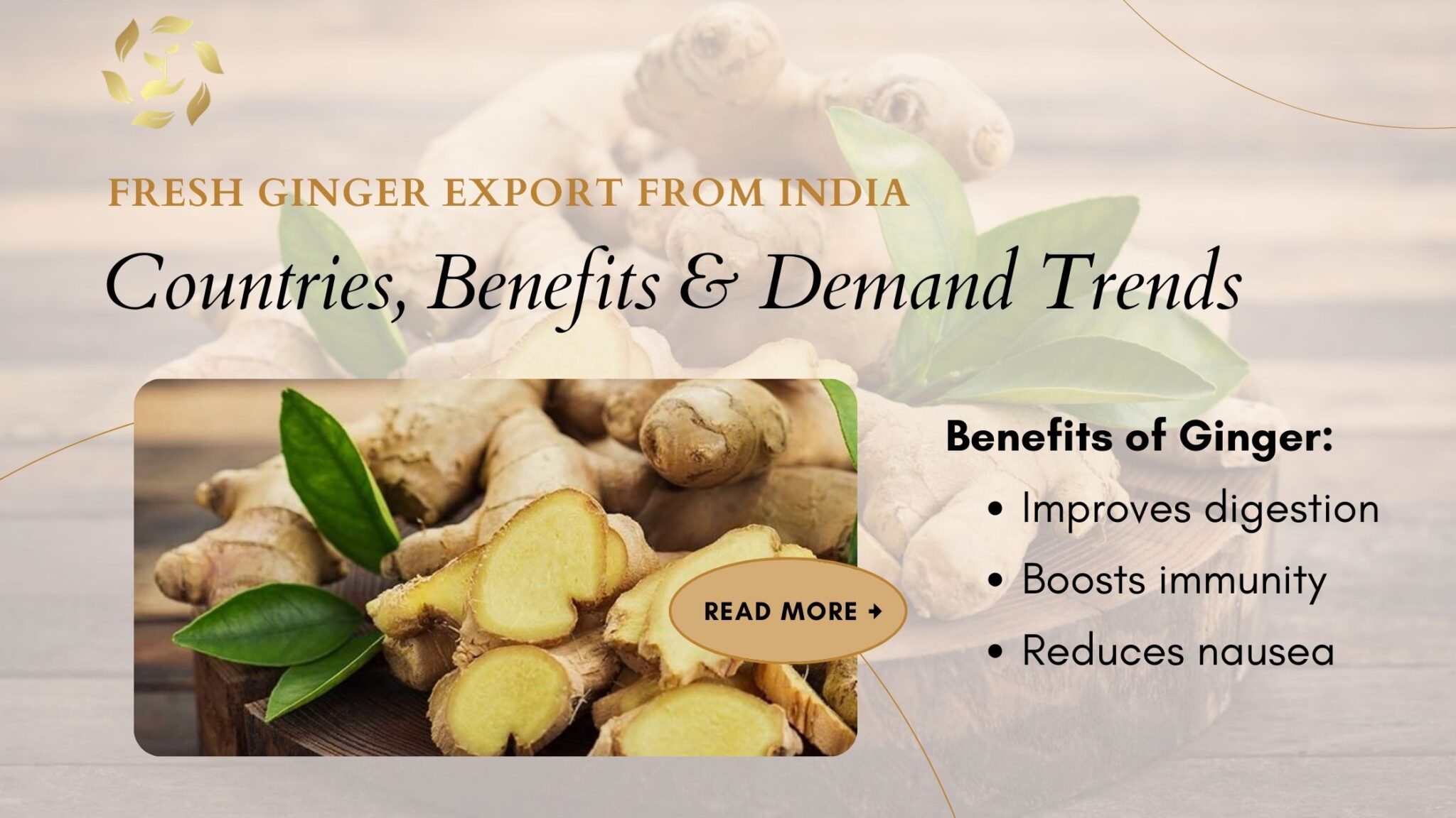Ginger Export from India | Fresh & Premium Quality Supply