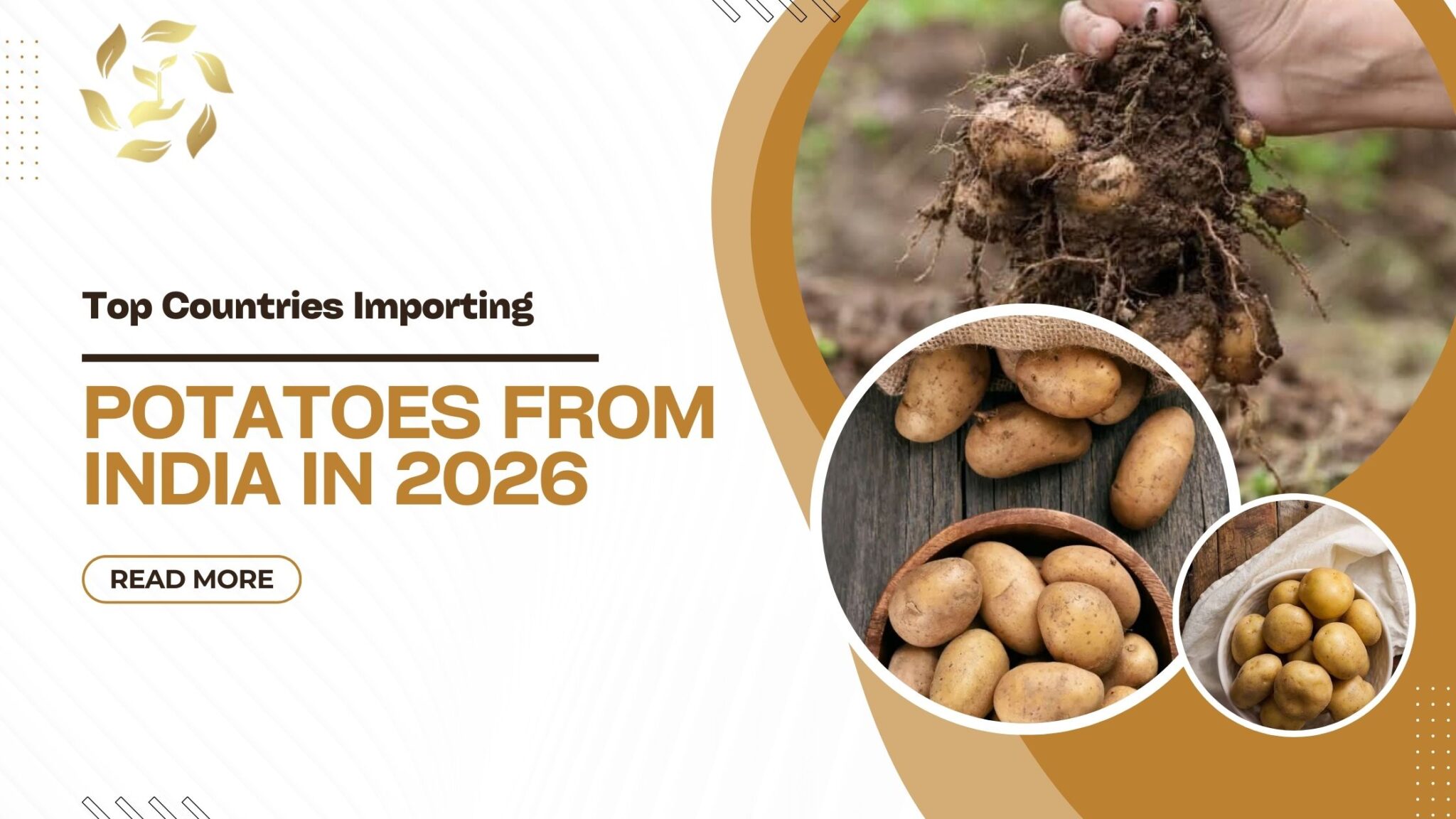 Top Countries Importing Potatoes from India | Asia Flock